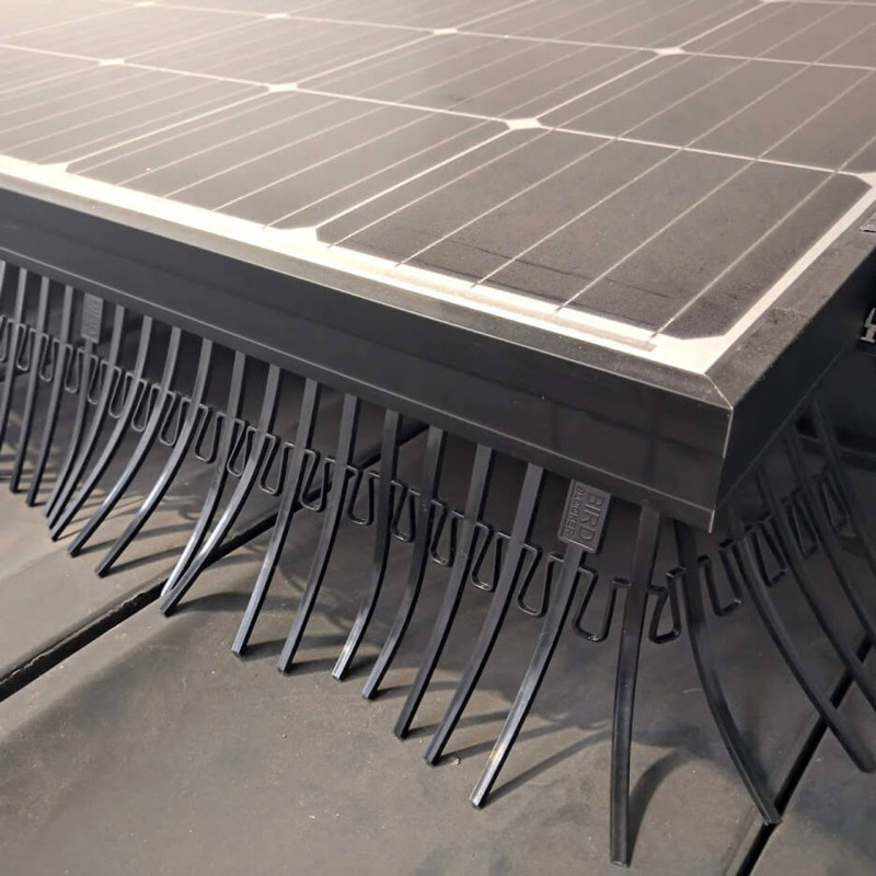 BirdBlocker 125mm - wróblówka do paneli fotowoltaicznych Typ mocowania Z klipsami montowanymi ...